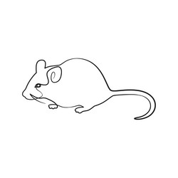 Rat mouse continuous one line drawing Royalty Free Vector