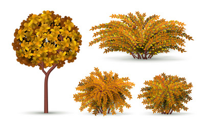 Green bushes and tree crown with white flowers Vector Image