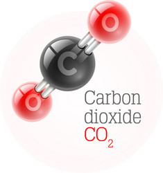 Carbon Element Model
