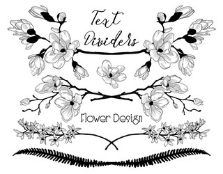Botanical Line Divider Branches Royalty Free Vector Image