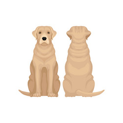 Dog Back View Vector Images (over 260)