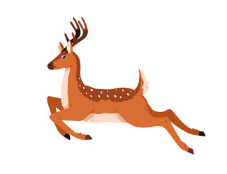 Cartoon baby deer jumping Royalty Free Vector Image