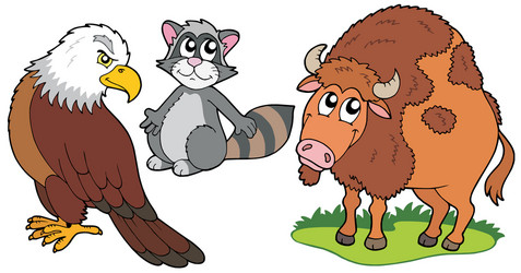 North American Animals Vector Images (over 1,600)