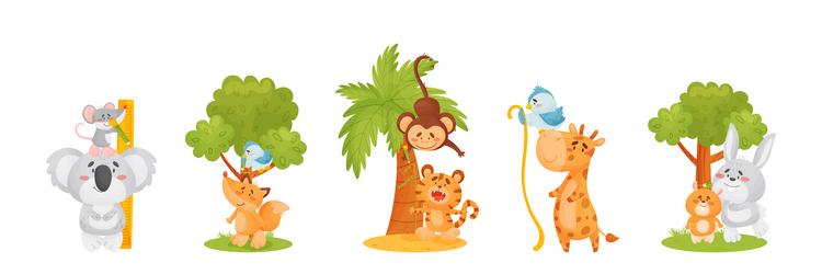 Funny animals measuring and comparing heights Vector Image