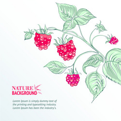 Raspberry Vector Images (over 27,000)