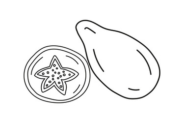 Papaya Outline Drawing Vector Images (over 240)