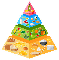 Cartoon food pyramid infographic a visual guide Vector Image