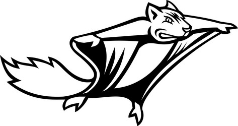 Flying Squirrel Drawing Outline