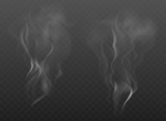 Realistic water spray white detailed smoke mist Vector Image