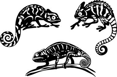 Chameleons Vector Images (over 6,800)