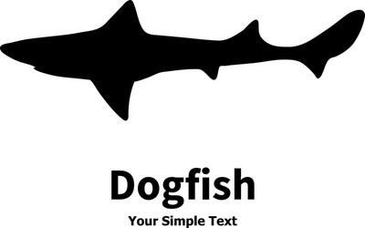 Dogfish Vector Images (24)