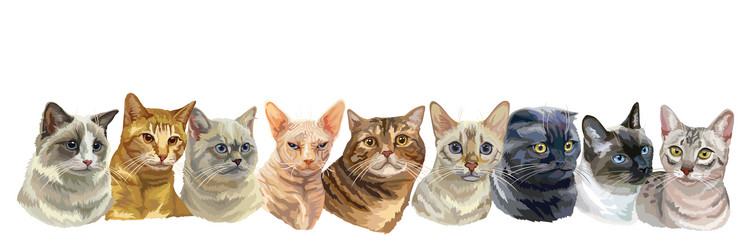 Cats in a Row Vector Images (over 320)
