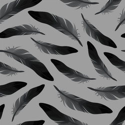 Raven Feathers Wallpaper