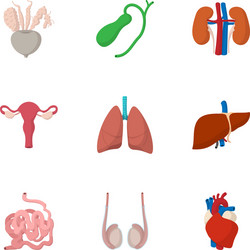 Cartoon Testicles Vector Images (over 220)