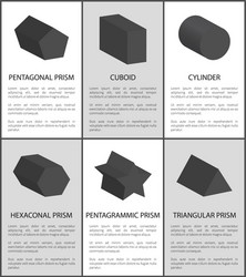 Pentagon Pentagonal Prism Vector Images (over 940)