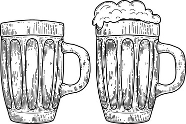 Hand drawn beer mug elements for design menu Vector Image