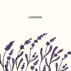 Lavender Vector Images (over 15,000)