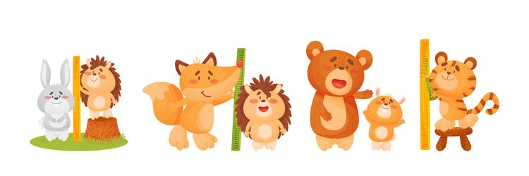 Funny animals measuring and comparing heights Vector Image