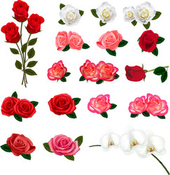 Roses Vector Images (over 280,000)