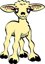 Little funny lamb Royalty Free Vector Image - VectorStock