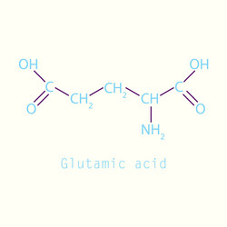 Glutamic amino acid molecule Royalty Free Vector Image