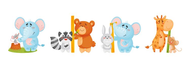Funny animals measuring and comparing heights Vector Image