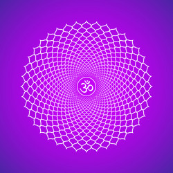 Chakra svadhishthana symbol Royalty Free Vector Image