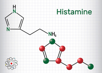 Histamine molecule it is amine nitrogenous Vector Image