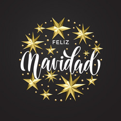 Merry christmas and happy new year in spanish Vector Image
