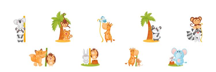 Funny animals measuring and comparing heights Vector Image