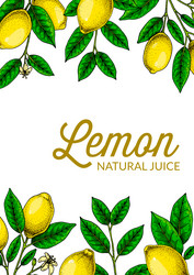 Horizontal lemon background hand drawn colorful Vector Image