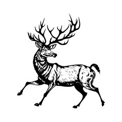 Buck Deer Outline