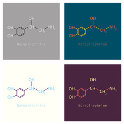 Norepinephrine noradrenaline norepi hormone Vector Image