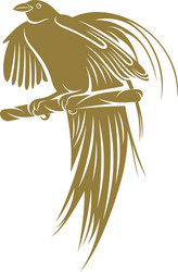 Birds paradise design creative Royalty Free Vector Image