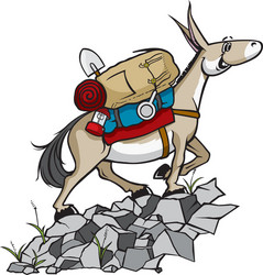 Mule Cartoon Vector Images (over 1,400)