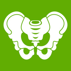 Pelvis set icons Royalty Free Vector Image - VectorStock