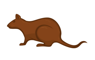 Dirty Rat Clipart Rodents