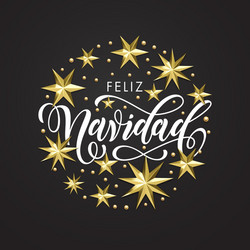 Merry christmas and happy new year in spanish Vector Image