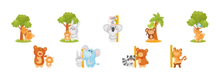Funny animals measuring and comparing heights Vector Image