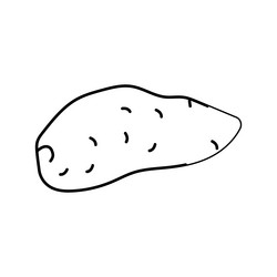 Potato Potatoes Outline Vector Images (over 7,200)