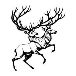 Buck Silhouette Outline