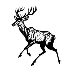 Buck Silhouette Outline