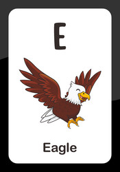 Eagle Flashcard Vector Images (24)