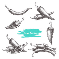 Chilli Outline Vector Images (over 1,900)