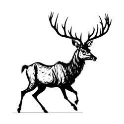 Buck Outline Vector Images (over 1,500)