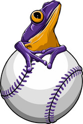Frog on baseball ball Royalty Free Vector Image