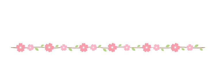 Cute Divider Png