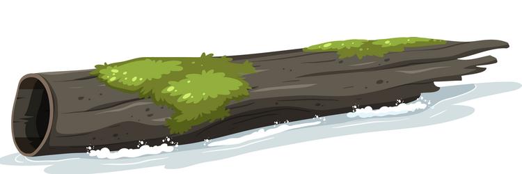 Floating Log Vector Images (98)