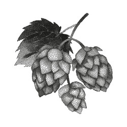 Leaf Stipple Vector Images (over 110)