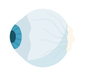 Eye Anatomy Vector Images (over 19,000)